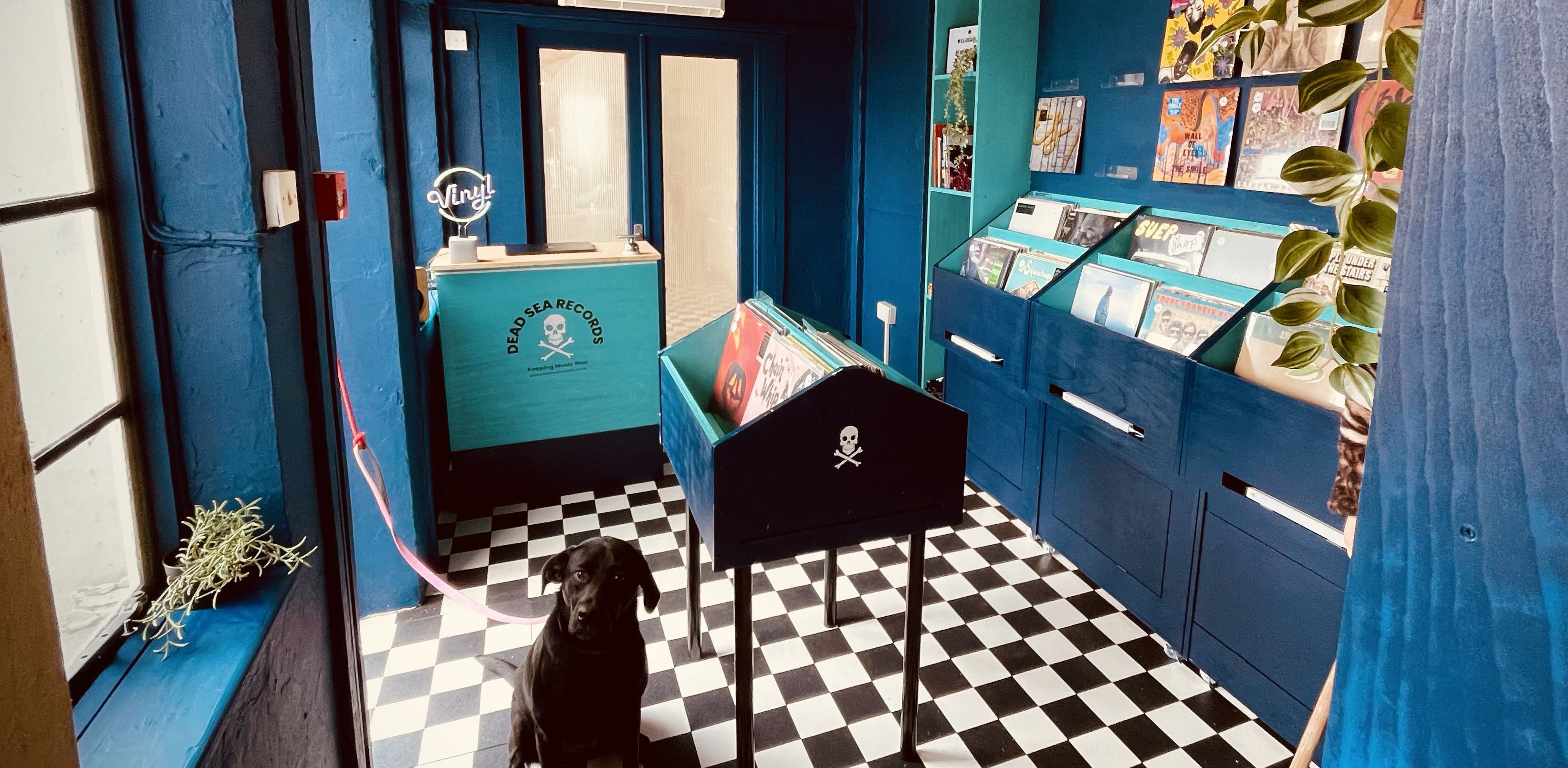 Dead Sea Records opens real life shop in St Davids, Pembrokeshire